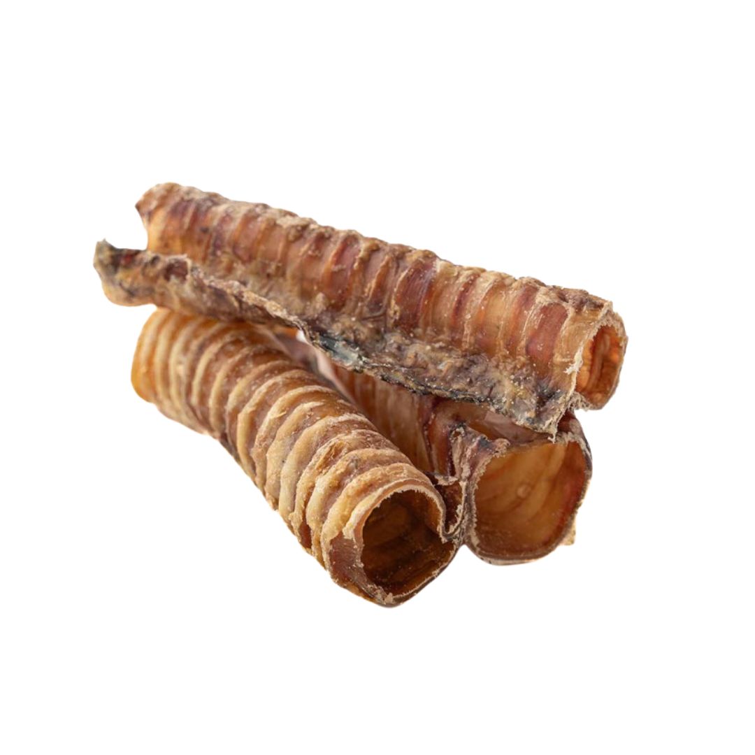 Beef Trachea Large (5" piece) Are a natural hollow dog chew ...